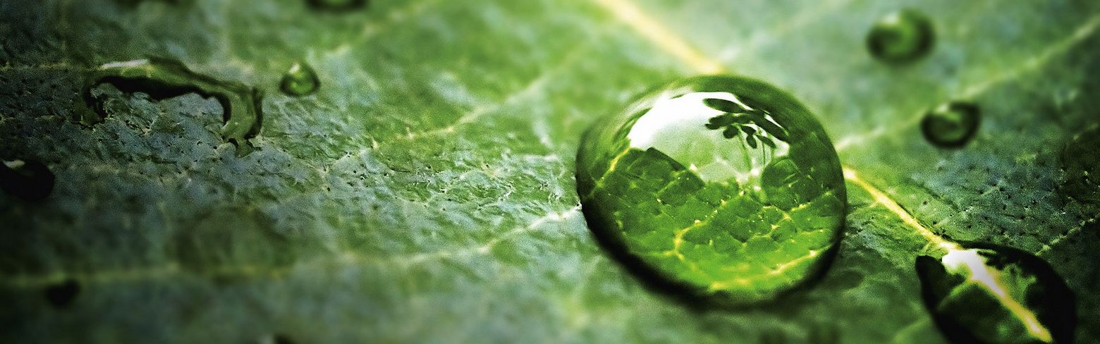 Security and protection for the environment. World Environment Day 2024 ...