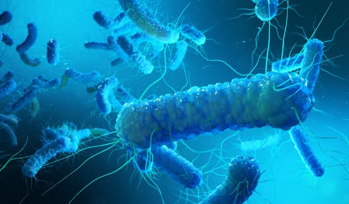 Drinking water hygiene and Legionella contamination in water heaters – a look at holiday homes ...